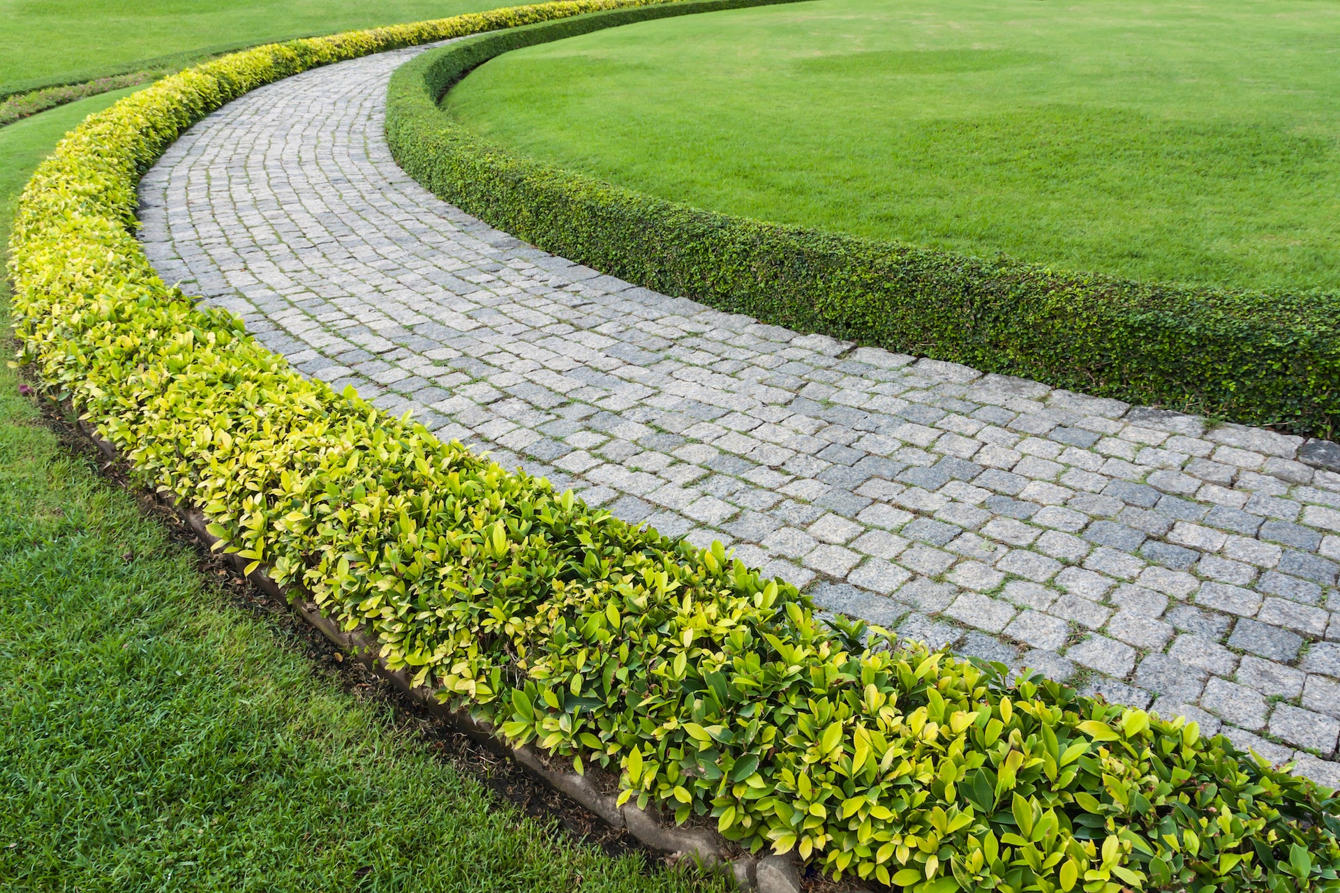 New Belgian Blocks – Chief Bricks